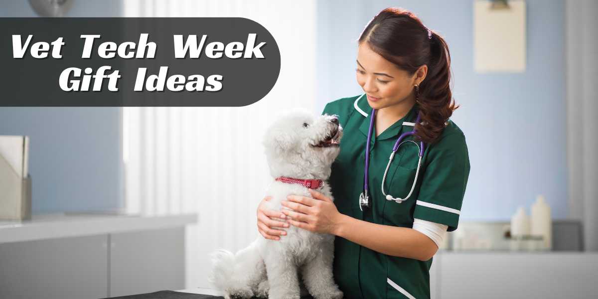 200+ Vet Tech Week Gift Ideas For Veterinarian - (NEW 2026)